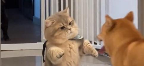 精进不休！GitHub获120k+star的阿里内网“疯传”Node.js实战手册 - 知乎