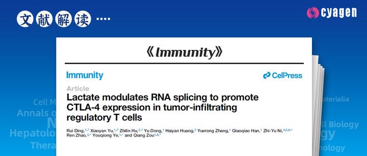 Immunity（IF=25.5）丨上海交大团队揭示乳酸如何影响免疫治疗的效果 - 知乎