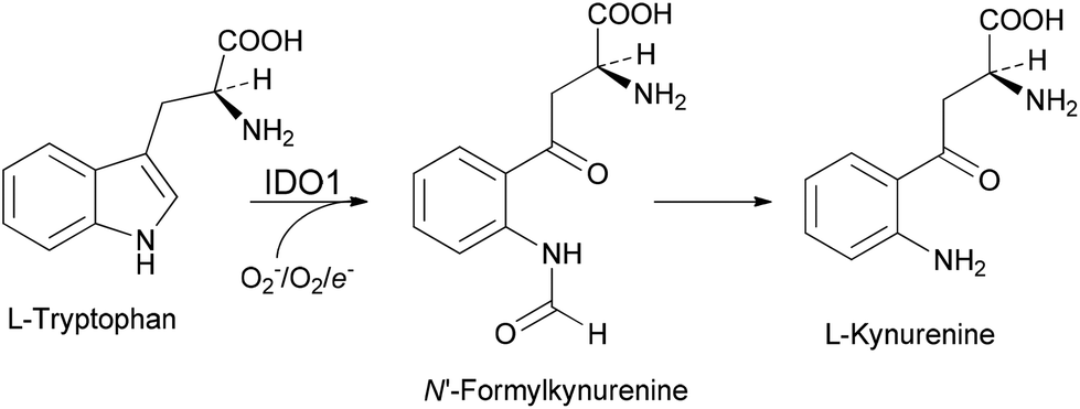 中科院 4.75 亿美元卖出的新药 IDO 抑制剂，治疗肿瘤的原理是什么？ - 知乎