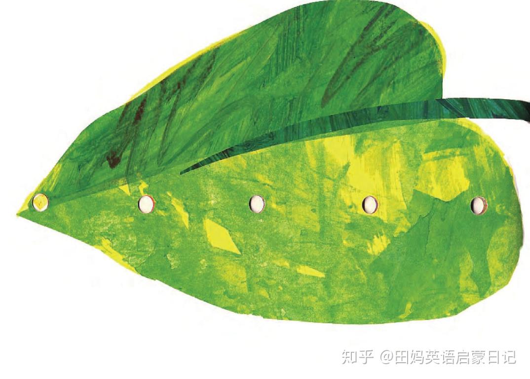 亲子阅读绘本精讲 | "The Very Hungry Caterpillar" - 知乎