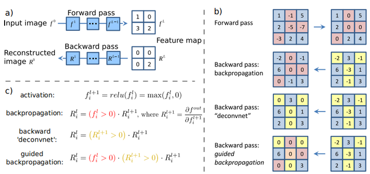 直观理解”卷积神经网络二:导向反向传播guided Backpropagation 知乎