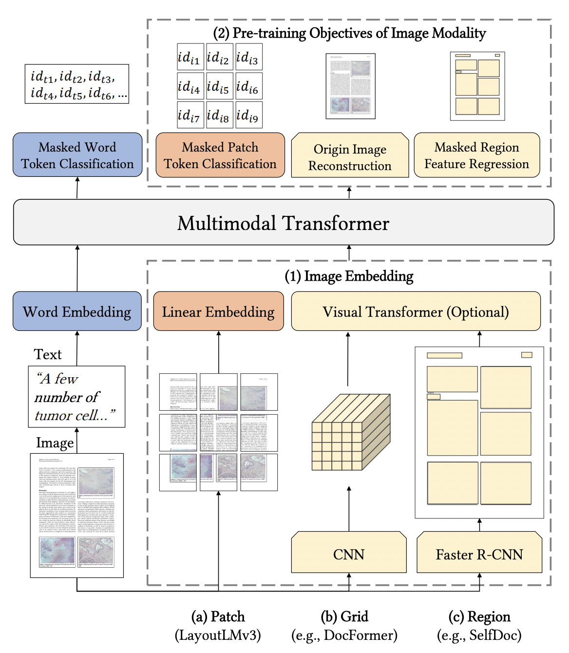 文档理解多模态模型——LayoutLM系列（v1、v2、XLM和v3） - 知乎