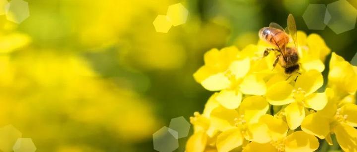 慢查询日志中的 Lock_time 从哪里来？ - 知乎