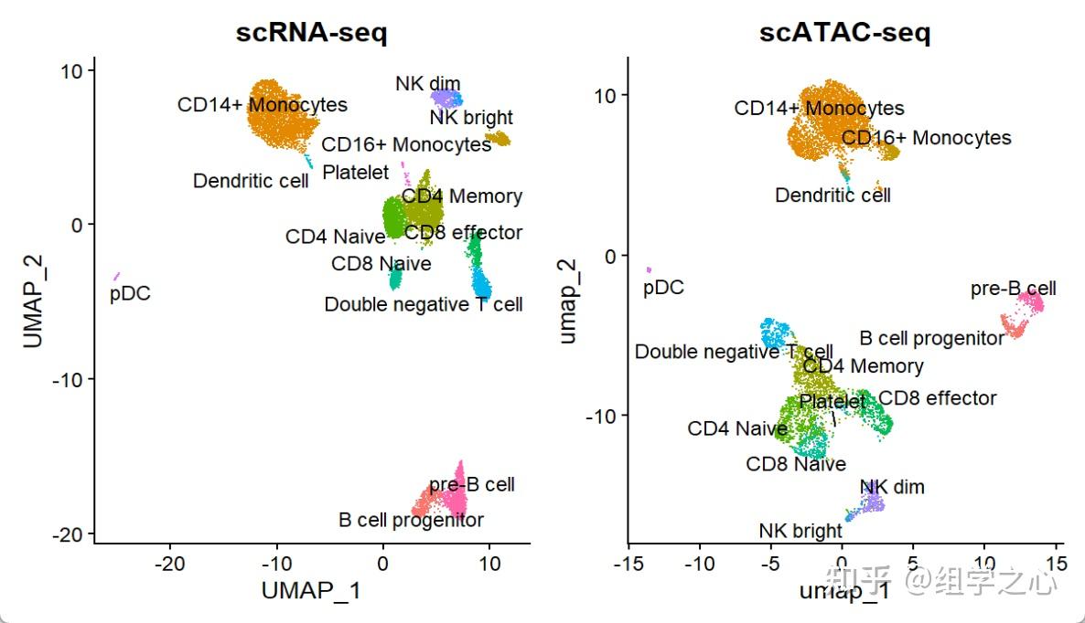 有一定scRNA-seq基础，如何入门scATAC-seq? - 知乎