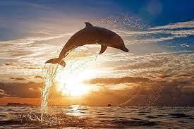 Pose Driver - 知乎