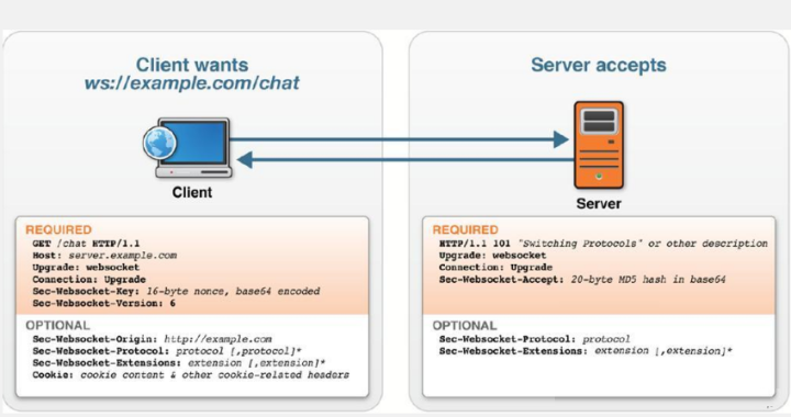 一篇文章彻底搞懂websocket协议的原理与应用（一） - 知乎