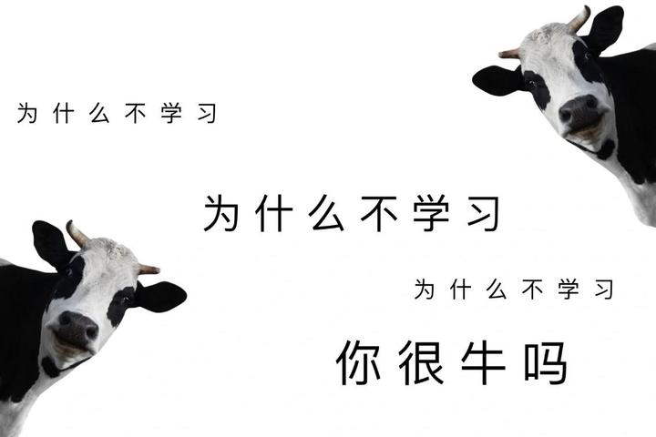 AAAMLP-CN代码修订（1）无监督和有监督学习 - 知乎