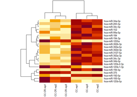 DAGITTY-有向图DAG的可视化构建工具 - 知乎