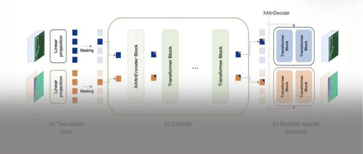新加坡国立大学提出Fus-MAE：基于Mask自编码器的自监督学习框架，解决跨模态问题 - 知乎