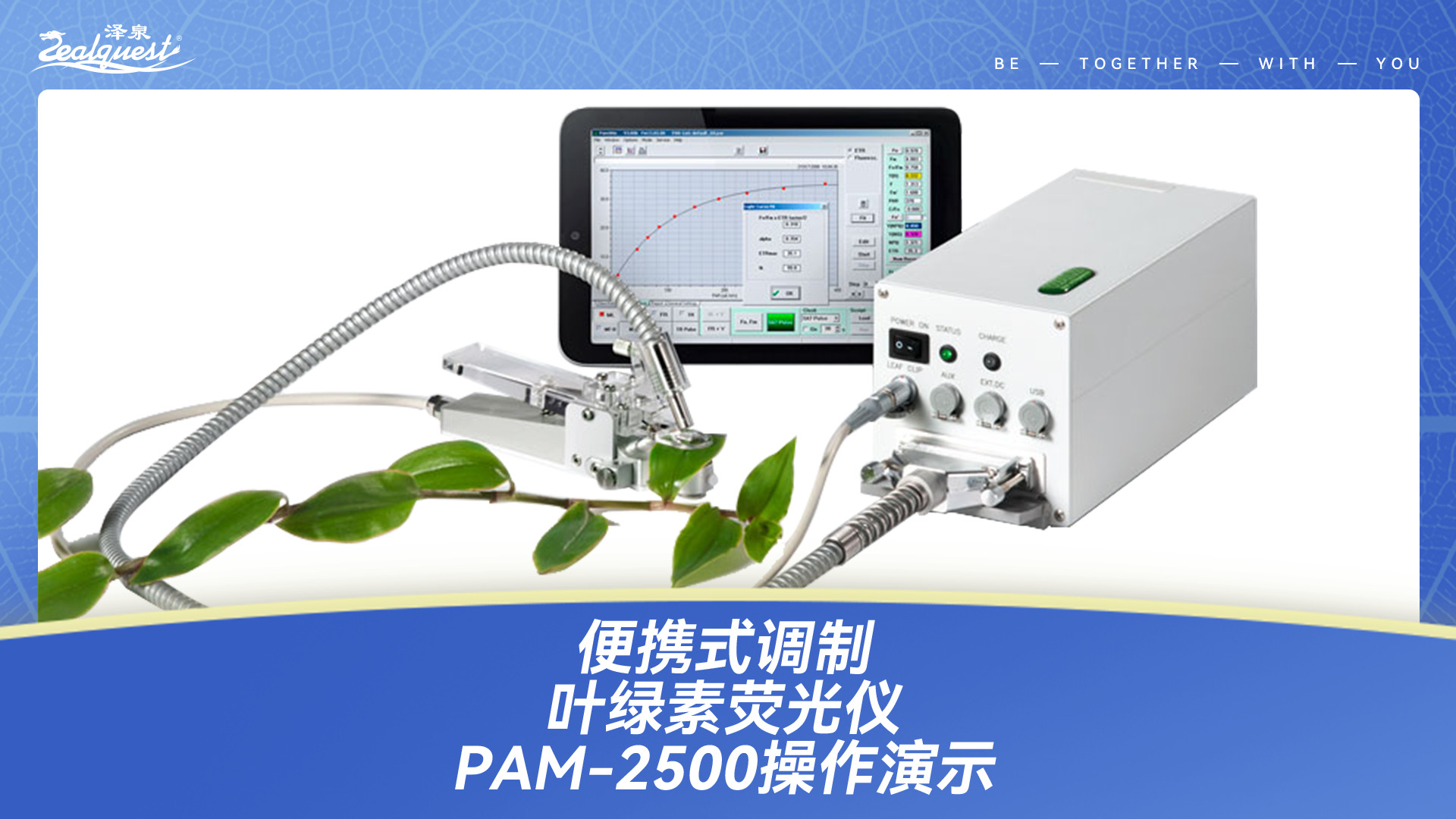 便携式调制叶绿素荧光仪PAM-2500操作演示 - 知乎
