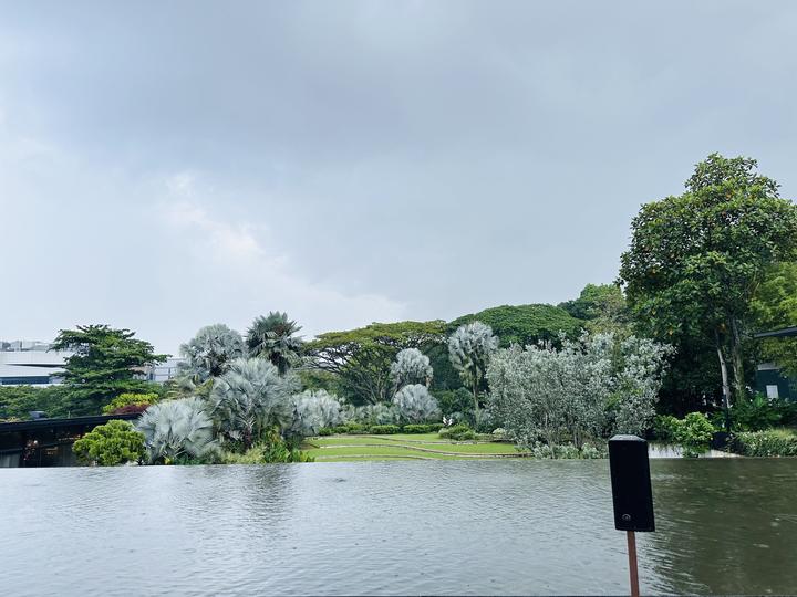 推荐特征交叉：Codebook记忆交叉特征 MemoNet: Memorizing All Cross Features' Representations - 知乎