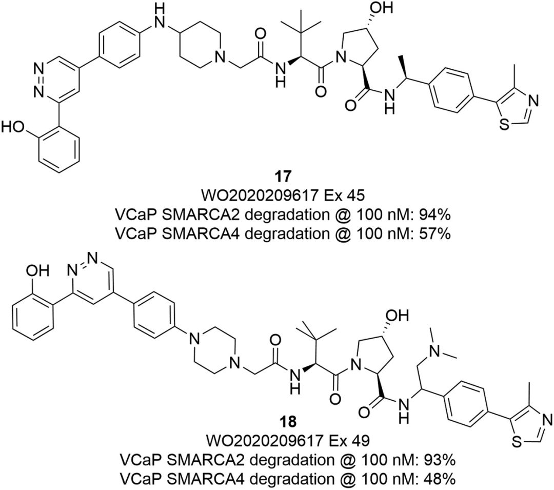 合成致死靶点SMARCA2: PROTAC蛋白降解剂 (专利综述) - 知乎