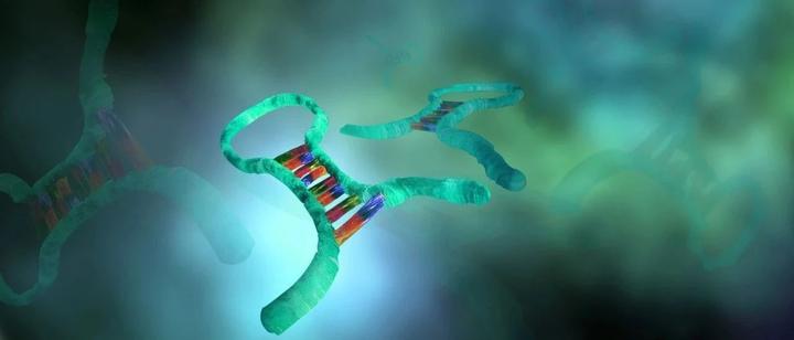 miRNA 在基因调控中的作用 | MedChemExpress - 知乎