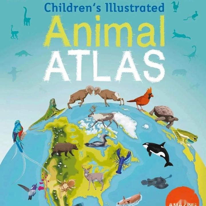 不能错过的DK巨著 Children's Illustrated Atlas 三册,既有视觉冲击力又信息丰富百科全书 - 知乎