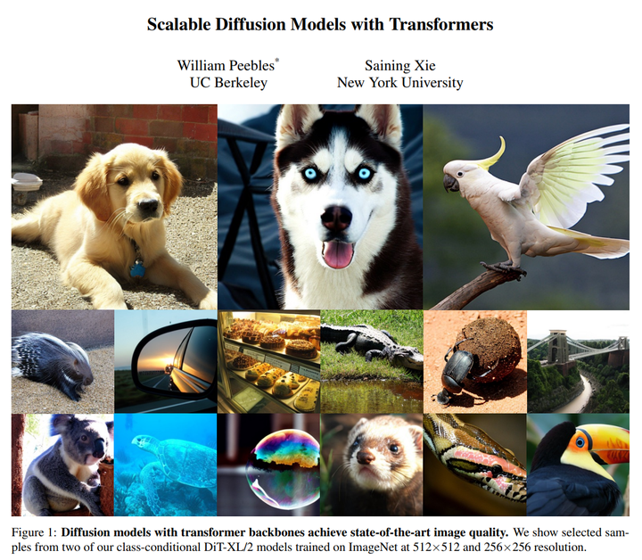 Diffusion Transformers (DiTs): 论文笔记 - 知乎