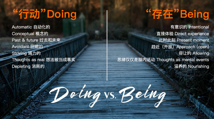Being vs Doing：正念冥想理念中「存在」和「行动」模式的对垒 - 知乎