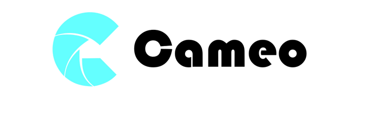 cameo，类django-admin的fastapi-admin应用（fastapiadmin，fastapi_admin），fastapi模型后台管理系统 - 知乎