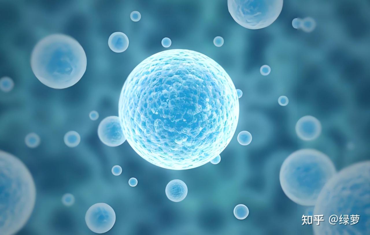 FDA 批准全球首款 TCR-T 疗法用于治疗滑膜肉瘤成人患者，这意味着什么？ - 知乎