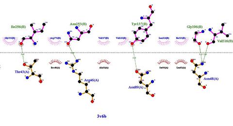 分子对接结果可视化：LigPlot的安装和作图 - 知乎