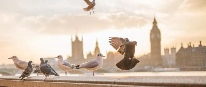 ULID - 一种比UUID更好的方案 - 知乎