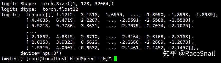 GRIN-MOE模型适配昇腾NPU（二）：权重加载、前向对齐 - 知乎