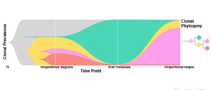 Topic 9. 克隆进化之 TimeScape - 知乎