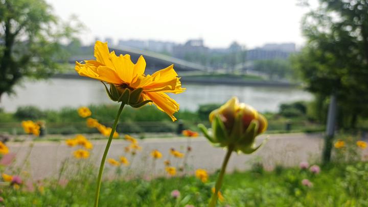 【Azure Developer】使用 Microsoft Authentication Libraries (MSAL) 如何来获取 ...