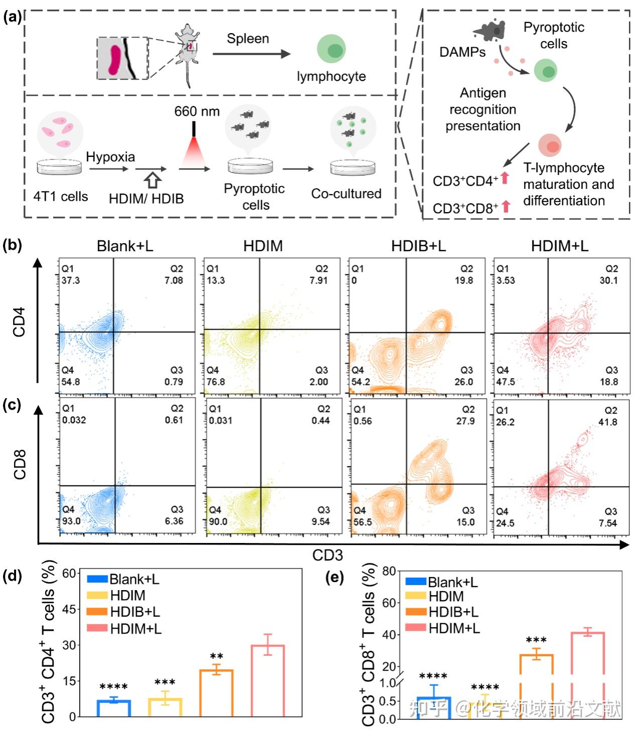 湖南大学张晓兵Angew. Chem.：基于细胞焦亡进行自放大免疫治疗的激活型光敏前药的设计 - 知乎