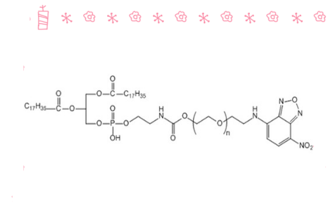 水溶性荧光磷脂PEG偶联物NBD-PEG-DSPE，DSPE-PEG-NBD，磷脂PEG硝基苯恶二唑 - 知乎