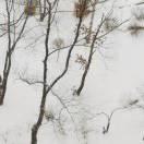 Causal Forcing 详解: 实时可交互视频世界模型算法，零新增成本完胜 Self Forcing - 知乎