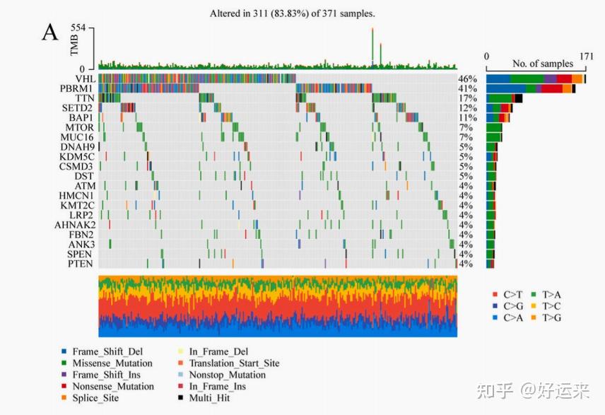 突变图（Mutational landscape） - 知乎