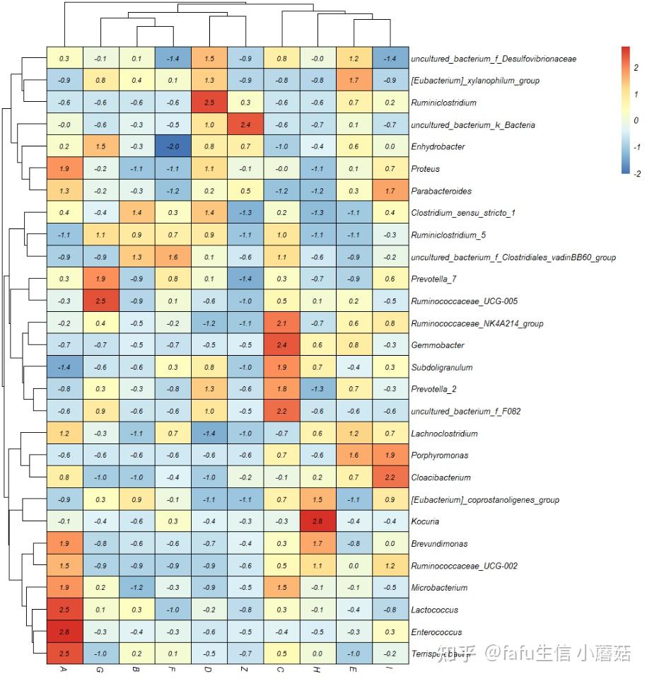 R语言 pheatmap 包绘制热图（基础部分） - 知乎