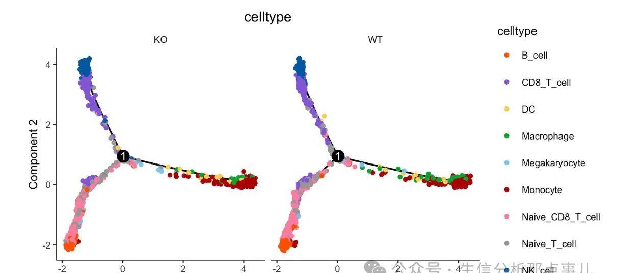 一篇代码搞定monocle2的所有可视化 - 知乎