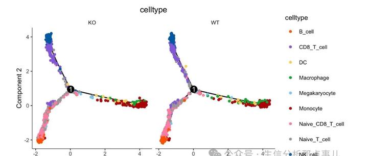 一篇代码搞定monocle2的所有可视化 - 知乎