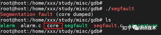 段错误(SegFault)的9种实用调试方法 - 知乎