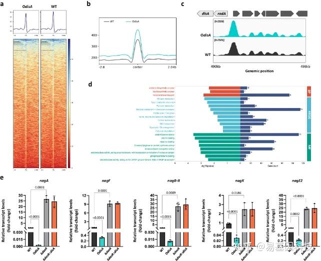 DNA与蛋白质互作及染色质开放性研究方案（ChIP-seq、CUT&Tag、ATAC-seq） - 知乎