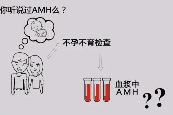 如何在5分钟内搞清楚AMH - 知乎