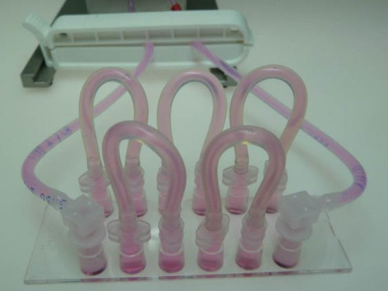 ibidi实验方案| µ-Slide VI 0.4串联，也适用其他Luer-Slides单通道载玻片 - 知乎