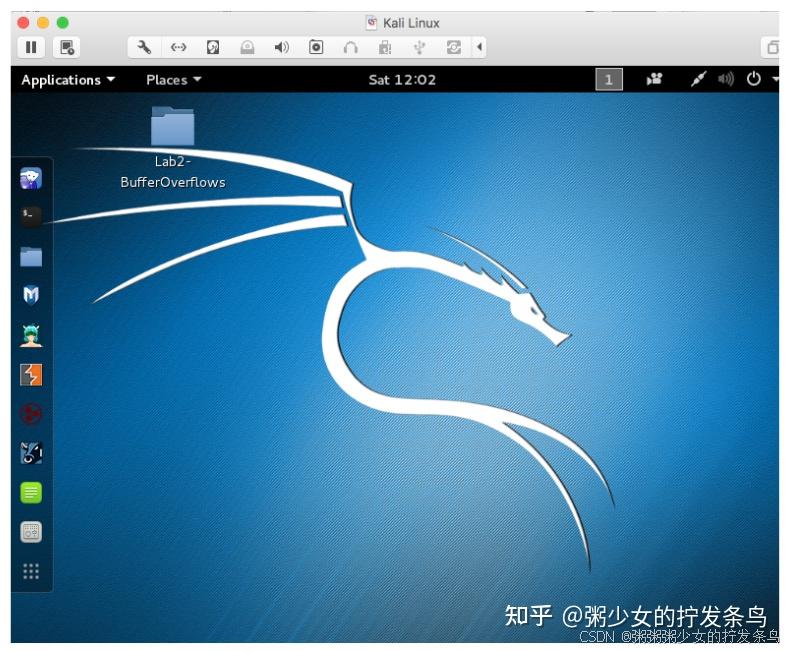 【南方科技大学】CS315 Computer Security 【Lab2 Buffer Overflow】 - 知乎