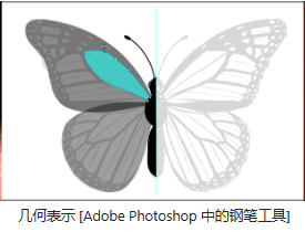Games101 作业4 - 知乎