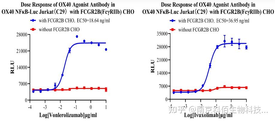 药靶细胞模型---特应性皮炎(AD)赛道新治疗——OX40靶点 - 知乎