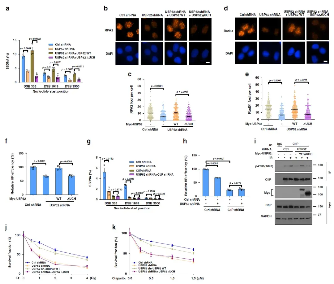 USP52通过去除CtIP的抑制性泛素化来调节DNA末端切除和化学敏感性 - 知乎