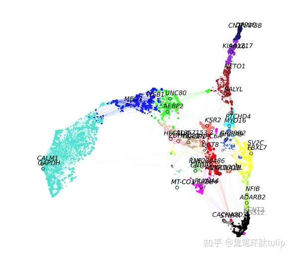 为何WGCNA分析不建议使用筛选好的差异基因做分析? - 知乎