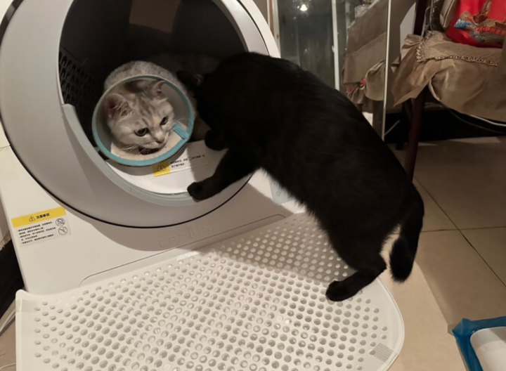 catlink prox智能猫砂盆（CATLINK猫砂盆）怎么样？使用半月优缺点评测 - 知乎