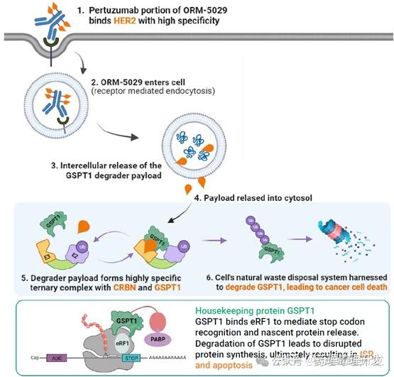 抗体和蛋白降解剂结合能擦出怎样的火花？BMS、Merck和Seagen为何重金入场？能与ADC一较高下吗？ - 知乎