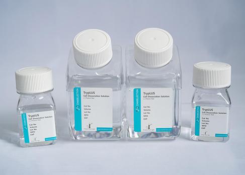 逐典小科普 | Tryplus消化液和Trypsin到底有什么区别？ - 知乎