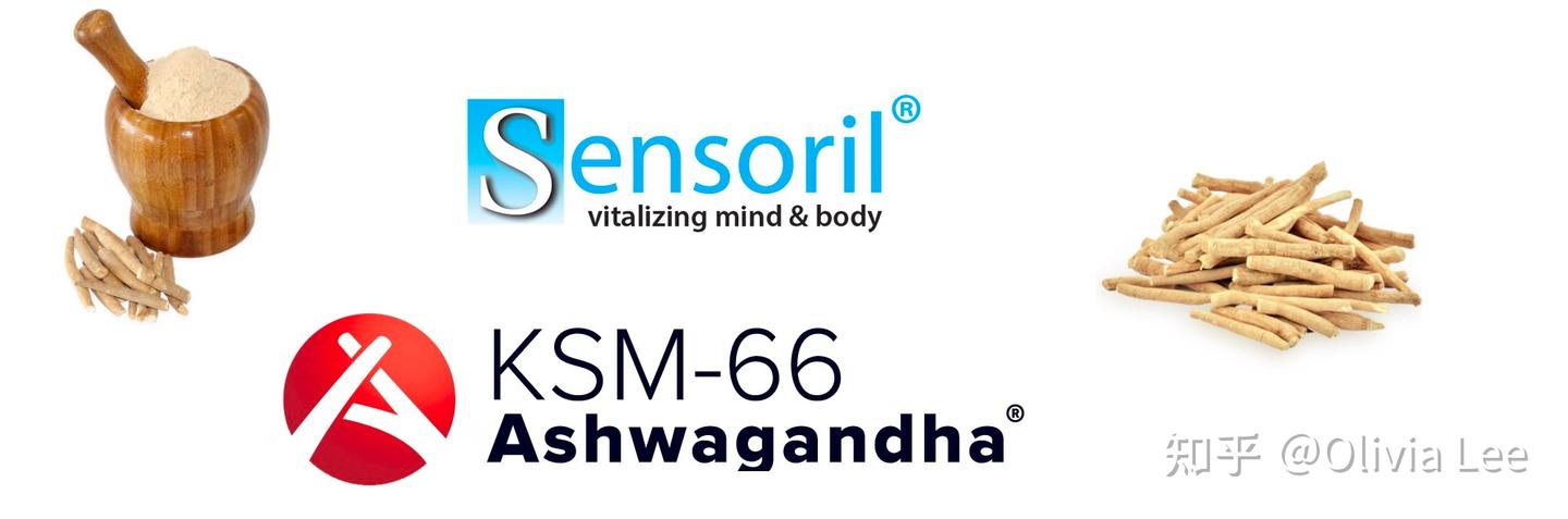 KSM-66®和Sensoril®两款标准化南非醉茄的对比 - 知乎