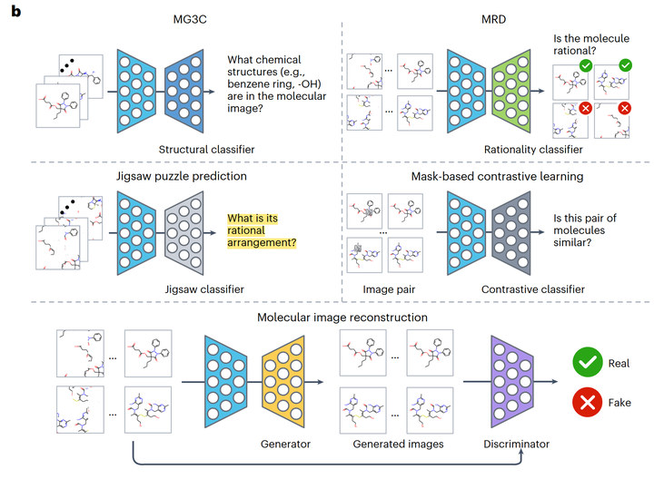 【AIDD系列】ImageMol论文精读 - 知乎