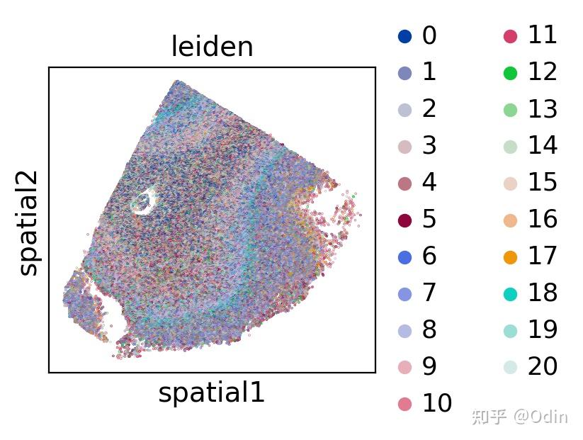 教程：用scanpy和squidpy分析单细胞空间转录组数据 - 知乎
